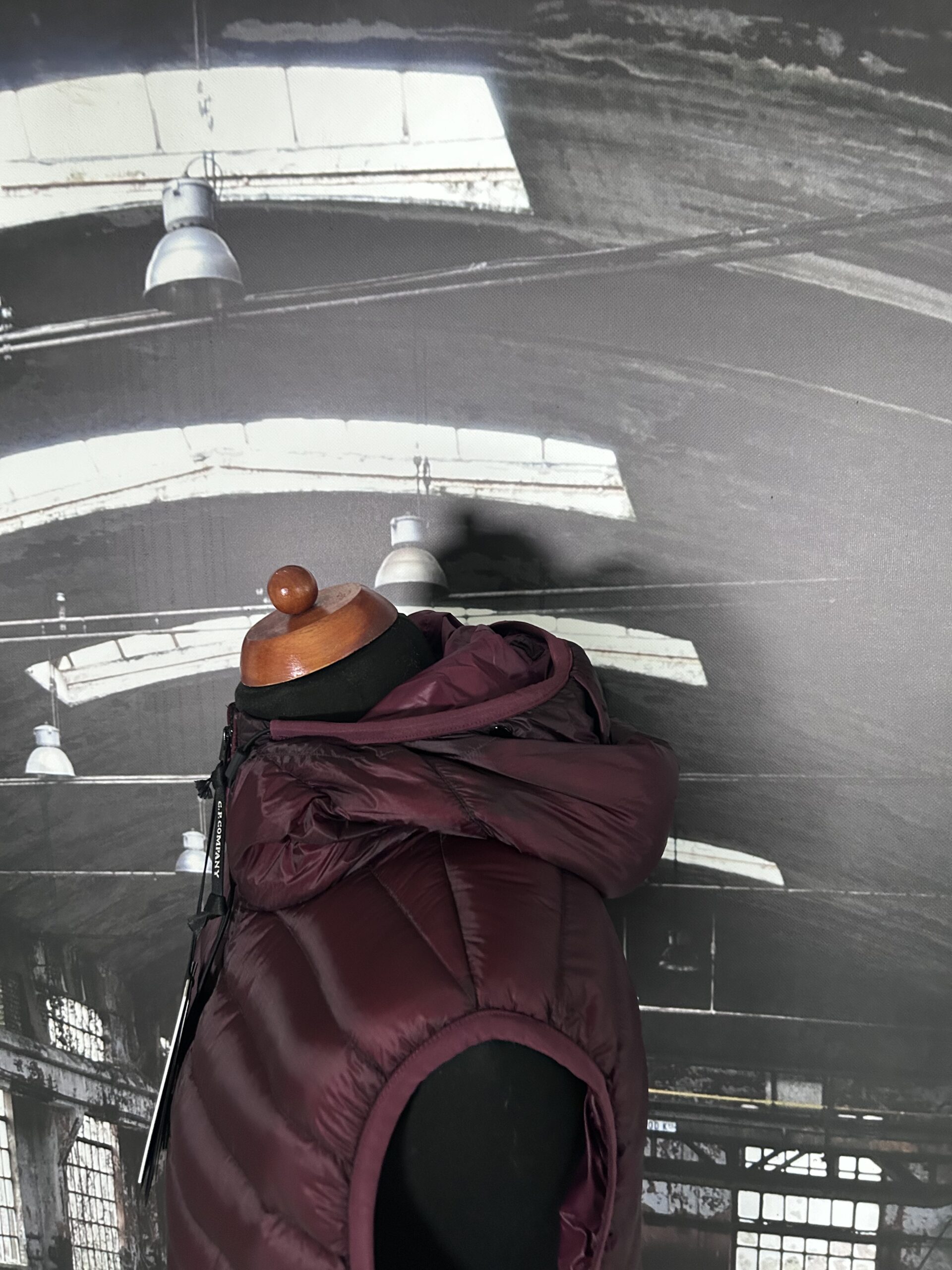 C.P. COMPANY DD SHELL GOGGLE DOWN GILET - X Clothing